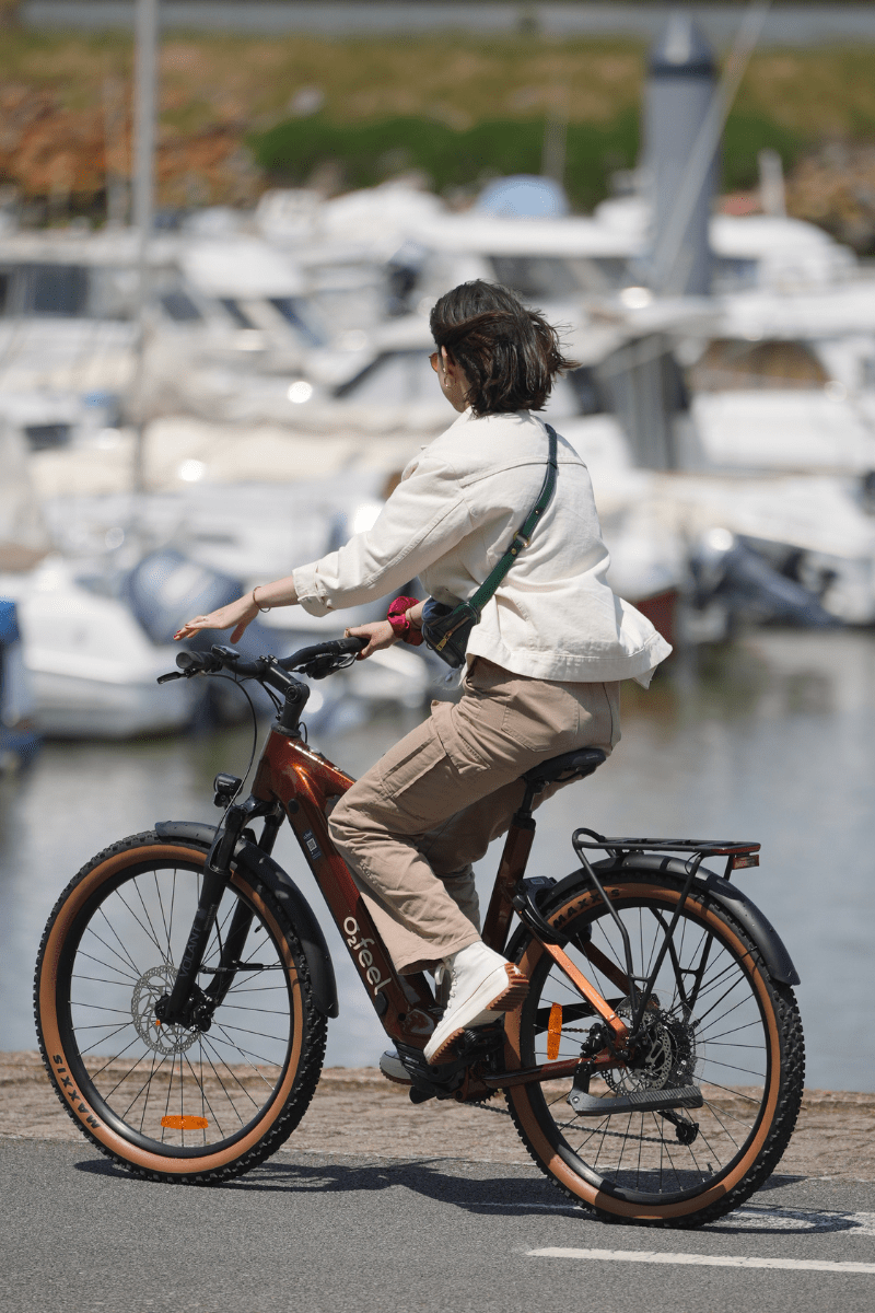 Location vélo électrique Premium avec Joe Bike