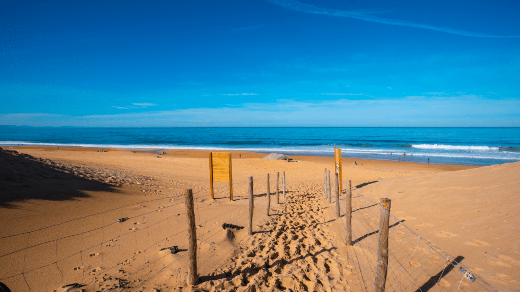 Bike rental in Labenne | Joe Bike